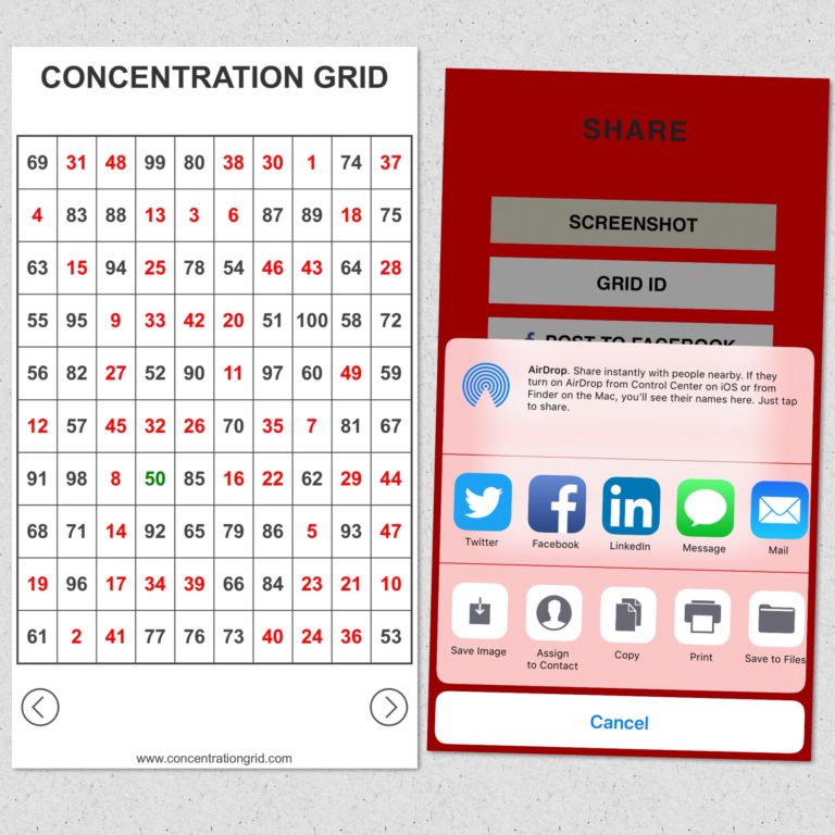 CONCENTRATION GRID - mental focus grids